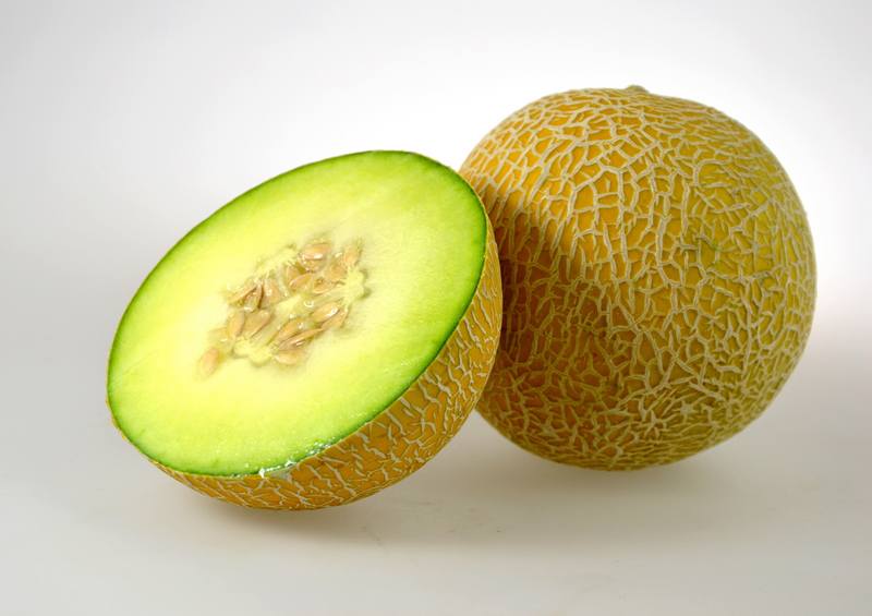 Roys Naturkost - Empfehlung der Woche: Honigmelonen Galia aus Spanien